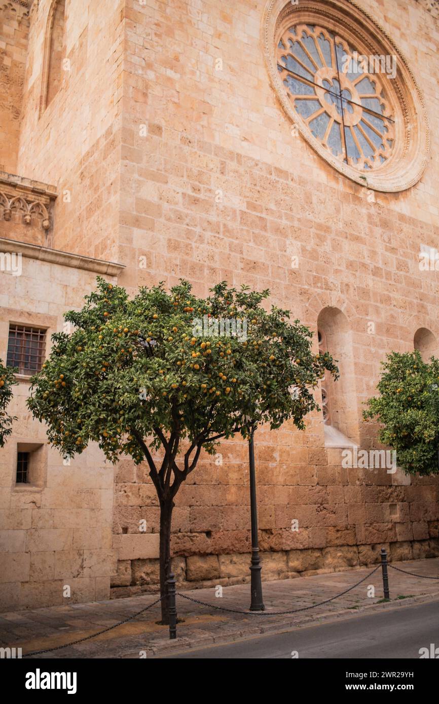 Metropolitan cathedral basilica of tarragona hi-res stock photography ...