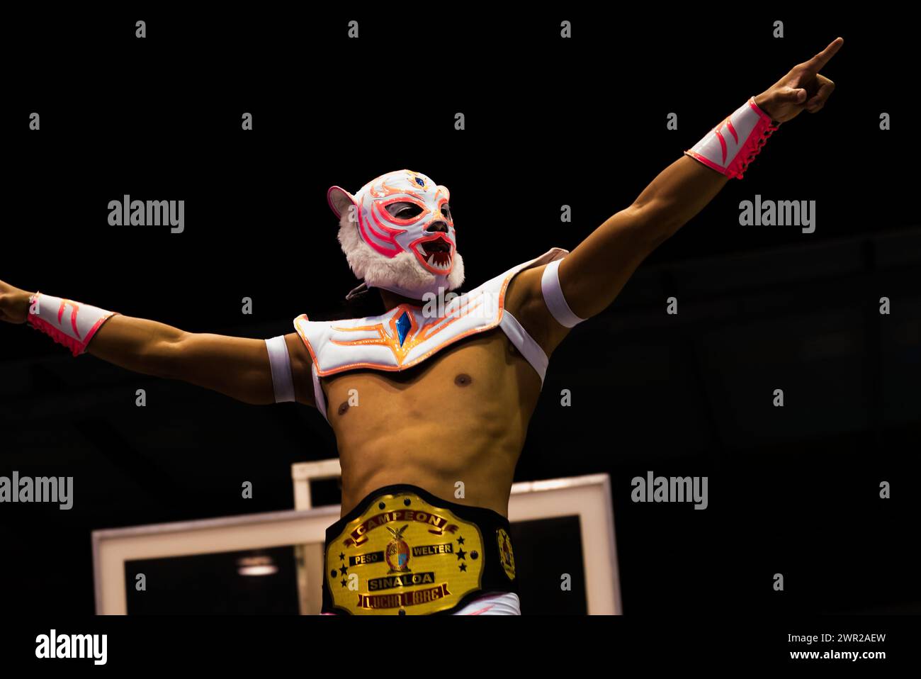 Lucha Libre Mexican Wrestling Stock Photo - Alamy