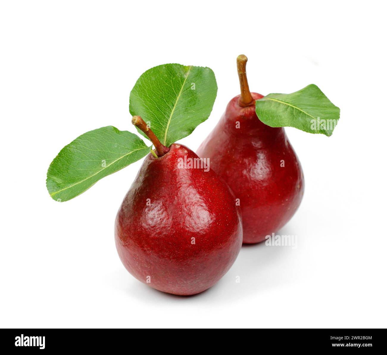 Isolated pears. Red pear fruits isolated on white background Stock ...