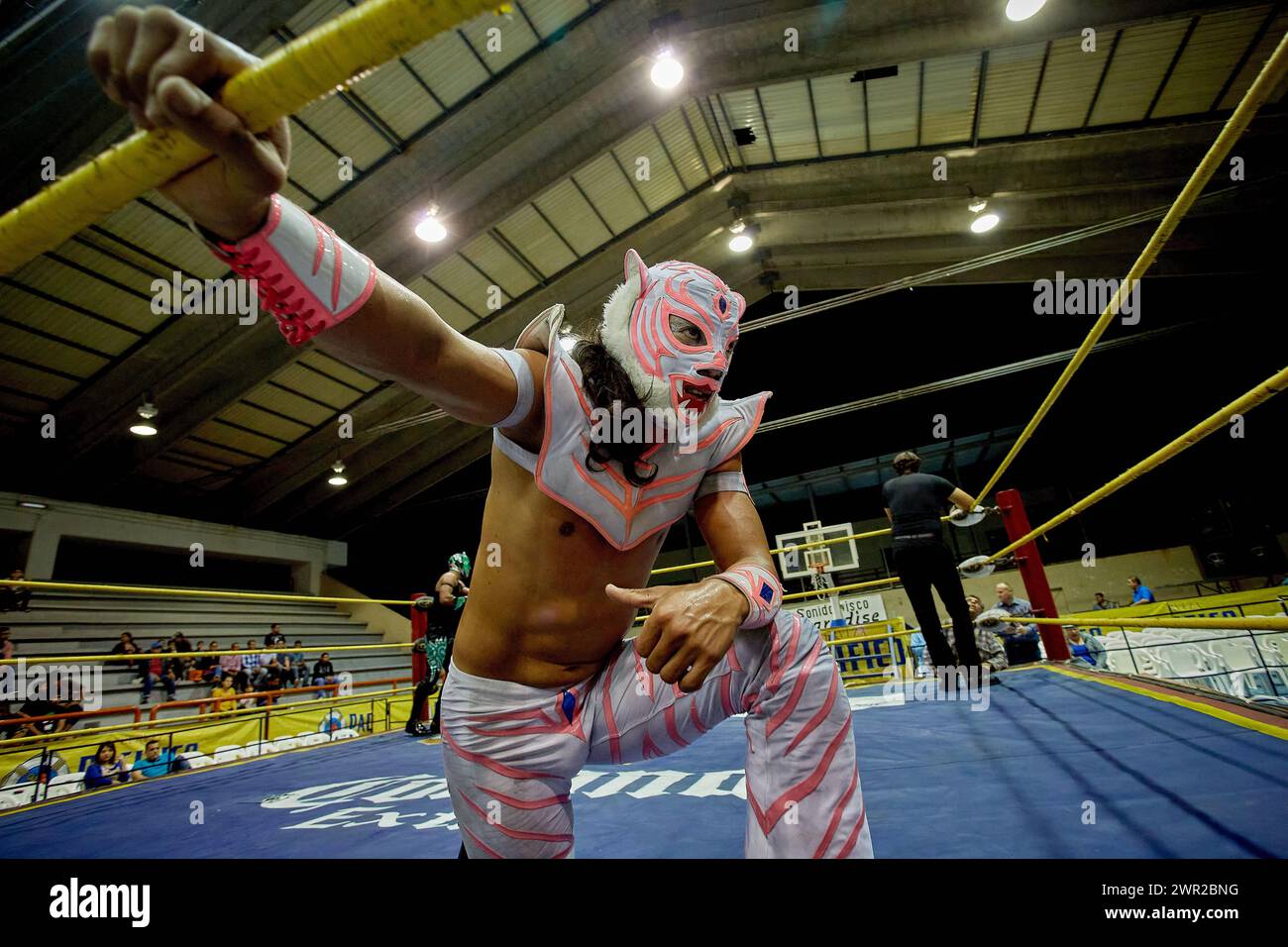 Lucha Libre Mexican Wrestling Stock Photo - Alamy