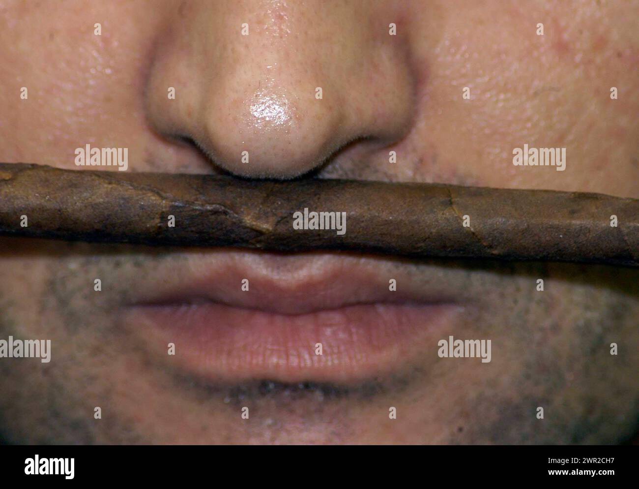 the smoking of cigars, cause of drug and nicotine addiction smoking of ...