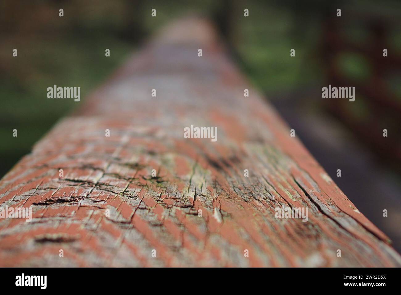 A wooden handrail for a footbridge Stock Photo - Alamy