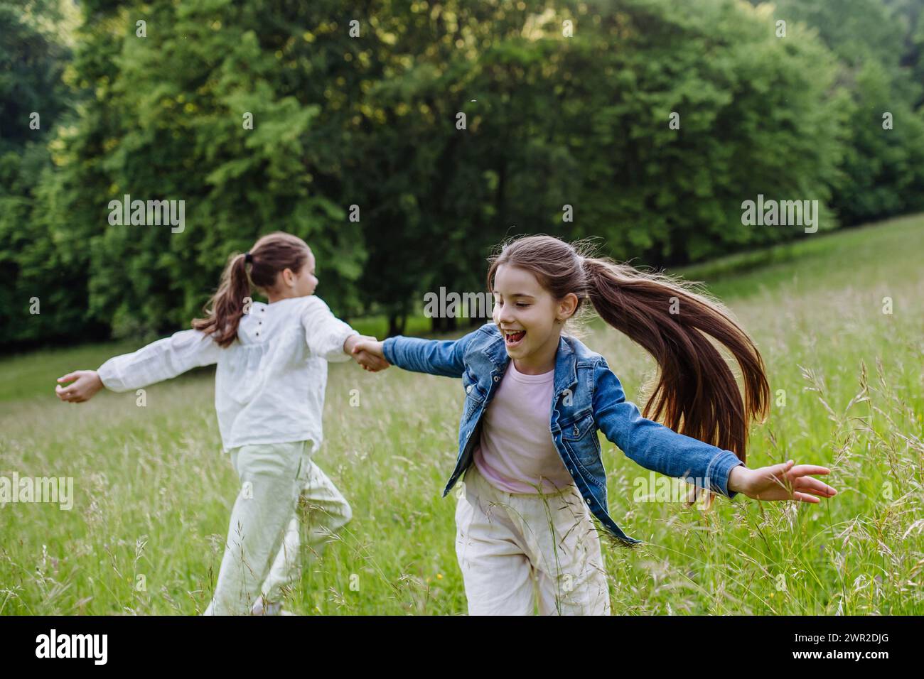 Two sisters playing at meadow in grass, having fun, running a laughing ...