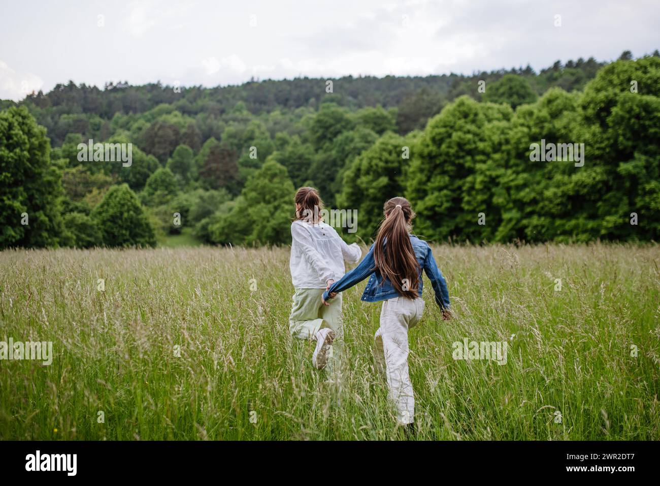 Two sisters walking at meadow through grass, having fun, exploring ...
