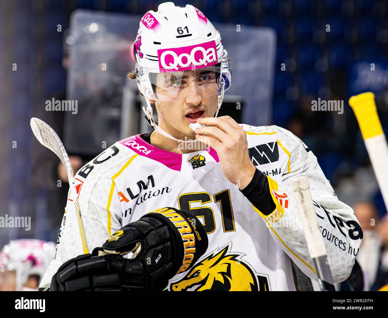 #61 Fabio Arnold, Stürmer HC Ajoie auf der Spielerbank. (Kloten ...