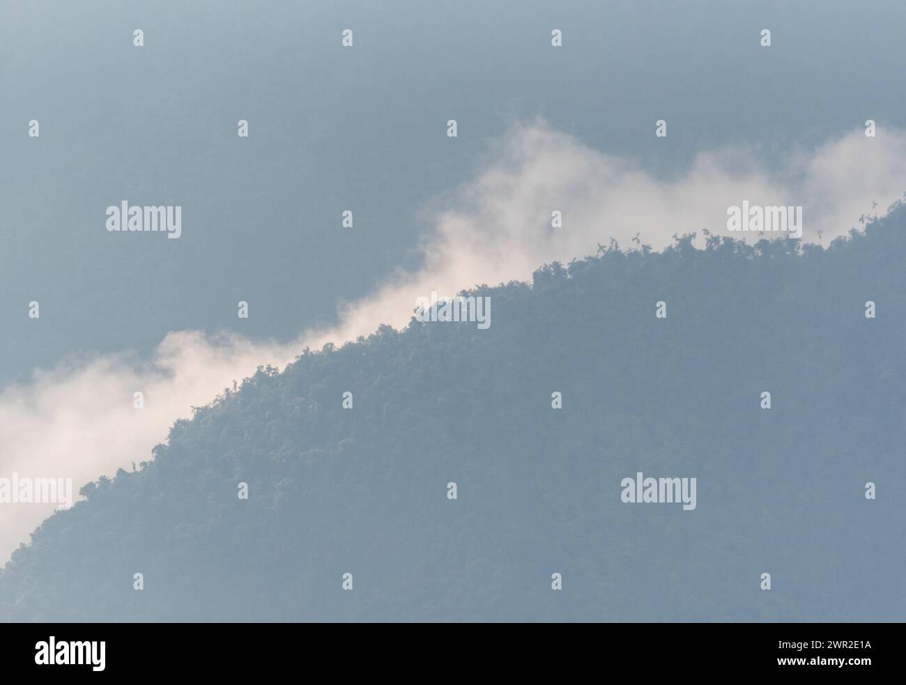 Tatama national natural park hi-res stock photography and images - Alamy