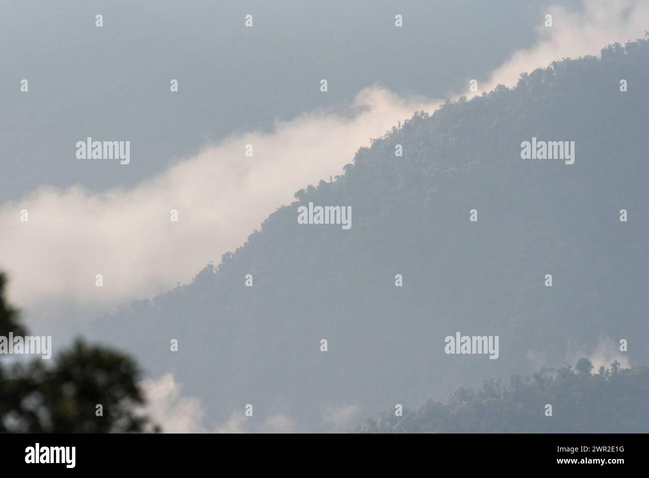 Tatama national natural park hi-res stock photography and images - Alamy