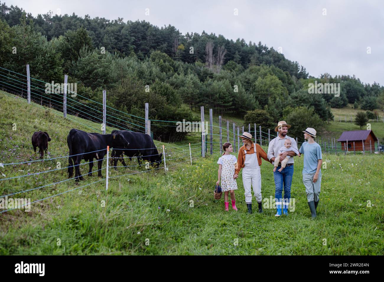 Concept learning about animals hi-res stock photography and images - Alamy