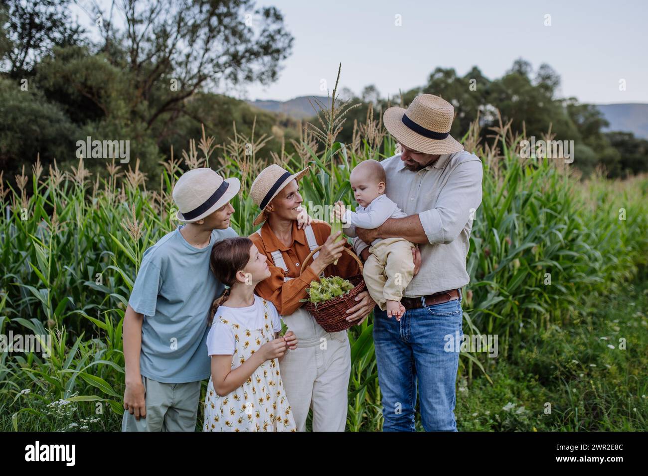 Farmer family standign in front of field with corn. Concept of ...