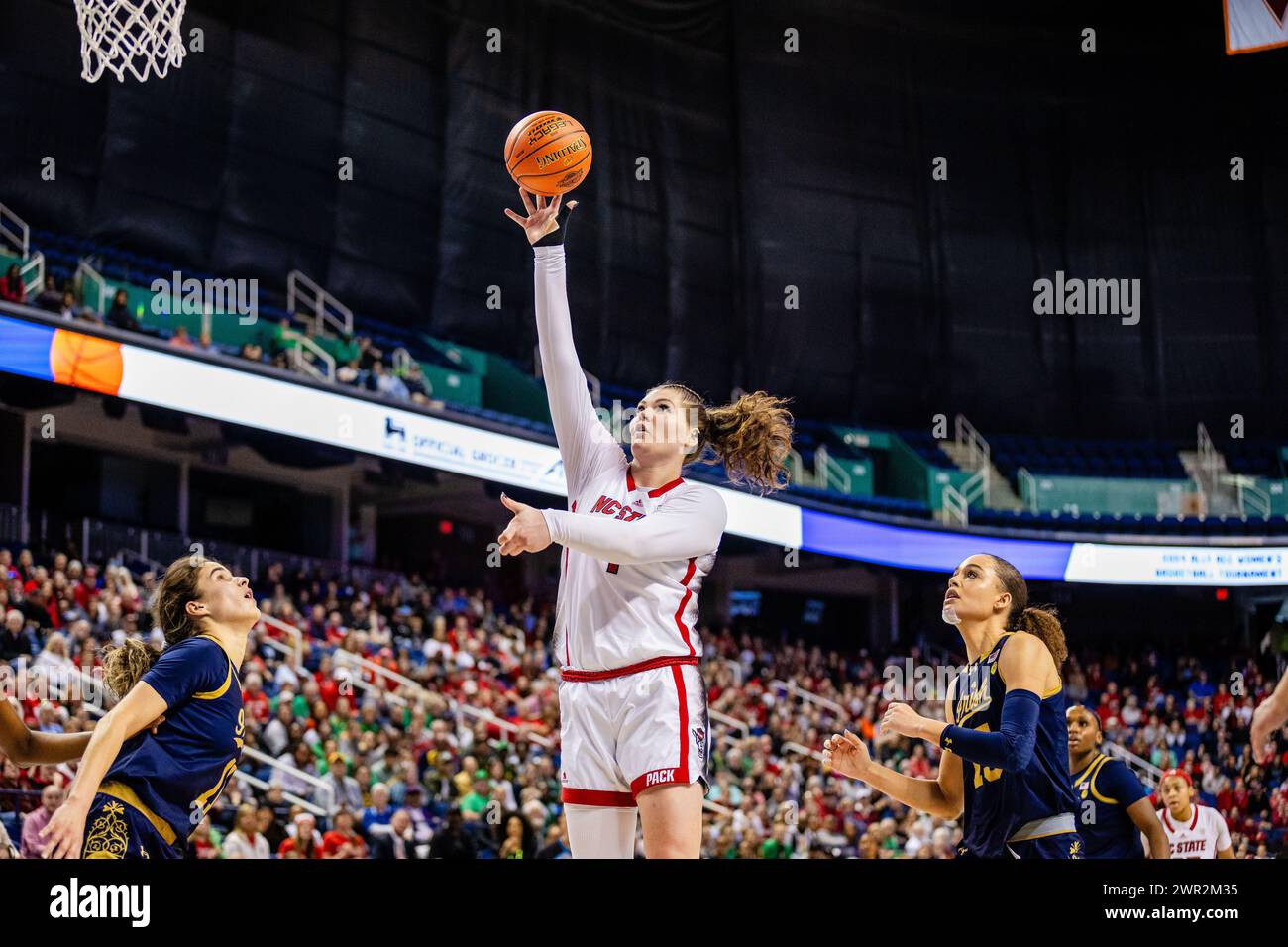 2024 0139 jpg hi-res stock photography and images - Alamy