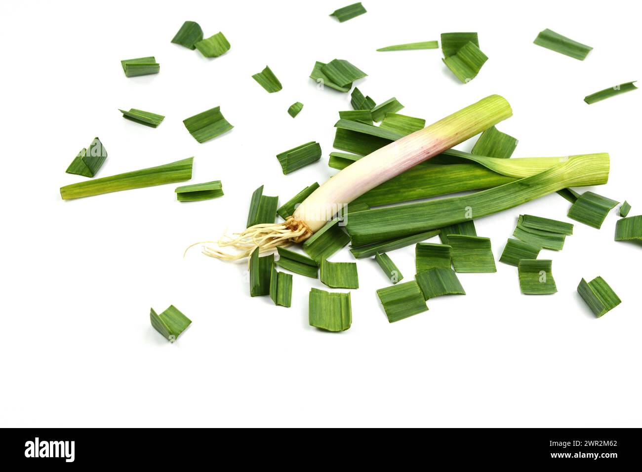 Fresh green garlic isolated on white background. Chopped green garlic ...