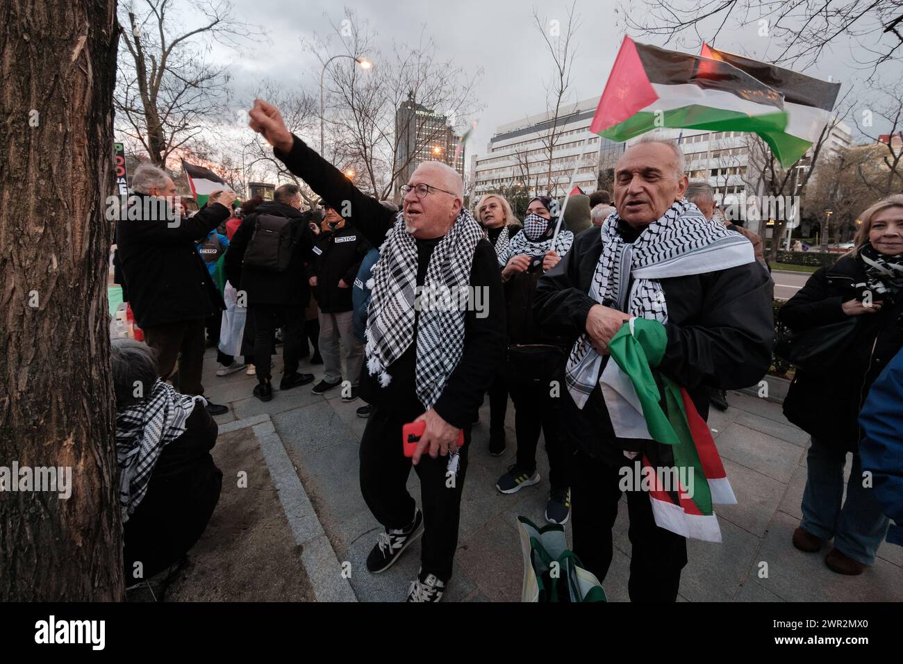 Palestine flag in front of parliament hi-res stock photography and ...