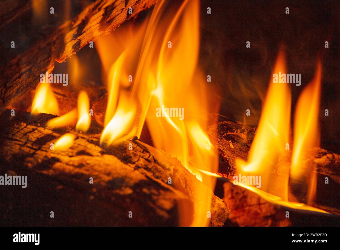 Logs burning in an outdoor campfire at a campsite with copy space Stock ...