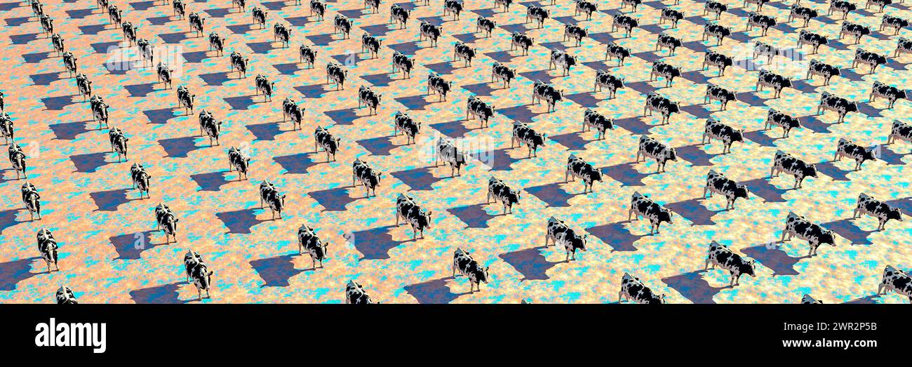 Abstract Cattle Illusion: A Warped Field of Black and White Cows on a ...