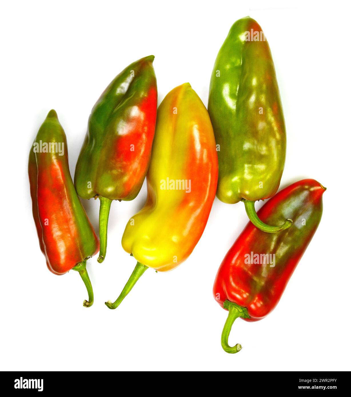 Different colored paprikas isolated on white background Stock Photo - Alamy