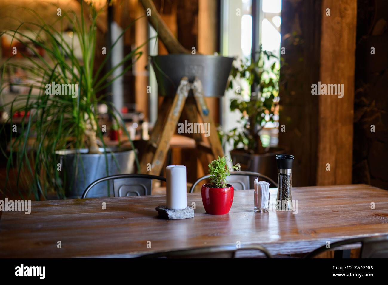 Modern restaurant with wooden tables, chairs, and flooring. Ambient ...