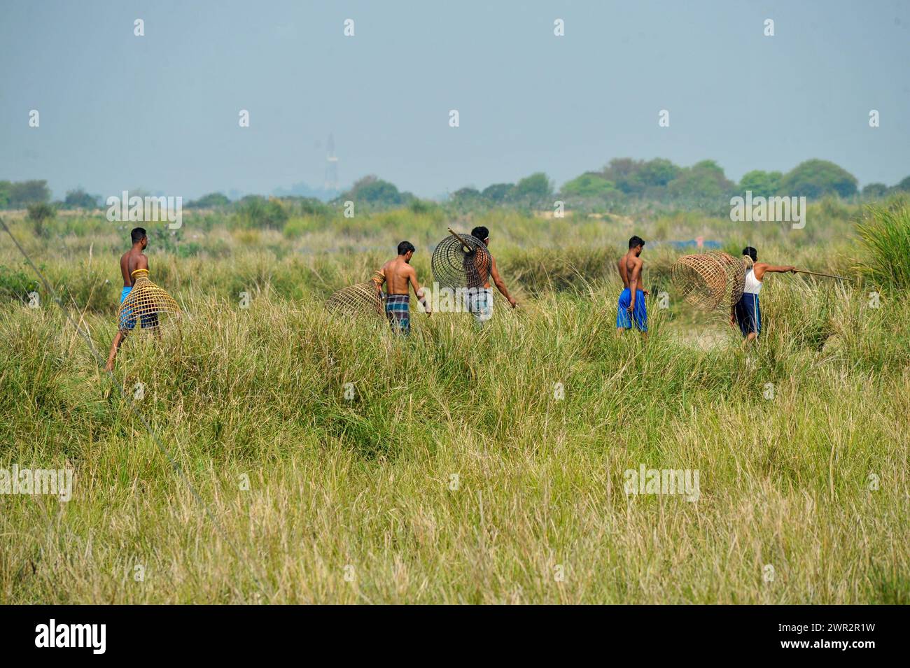 Bangladeshi ful hi-res stock photography and images - Alamy