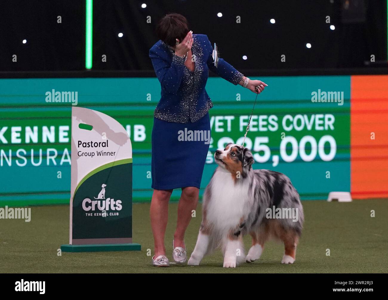 Pastoral Group winner Viking, an Australian Shepherd, who has won Best ...