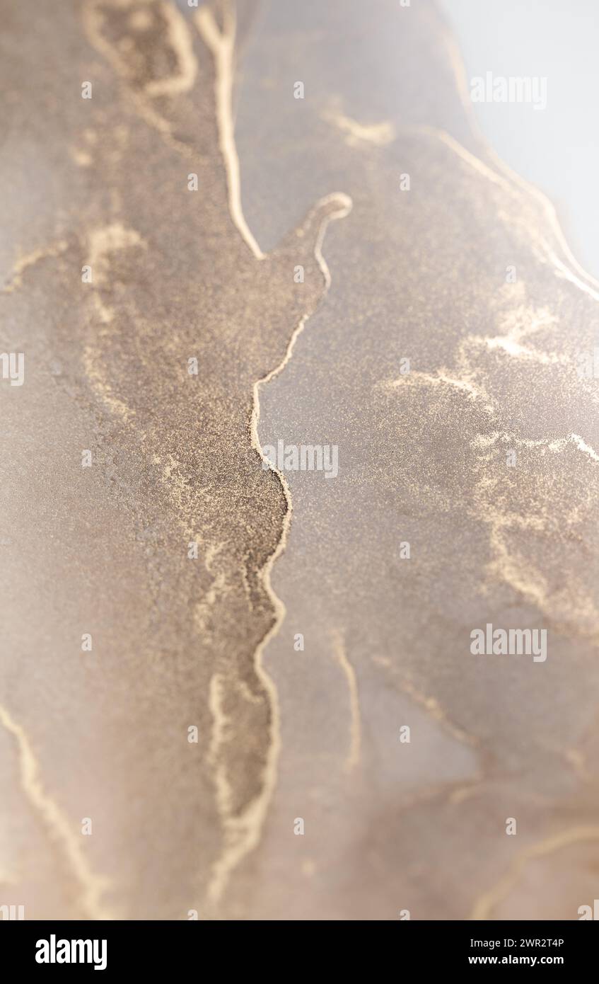 Luxury abstract fluid art alcohol ink technique: bronze, silver ...