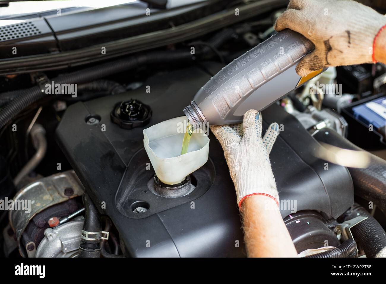 Changing the engine oil. A car mechanic pours oil from a bottle through ...