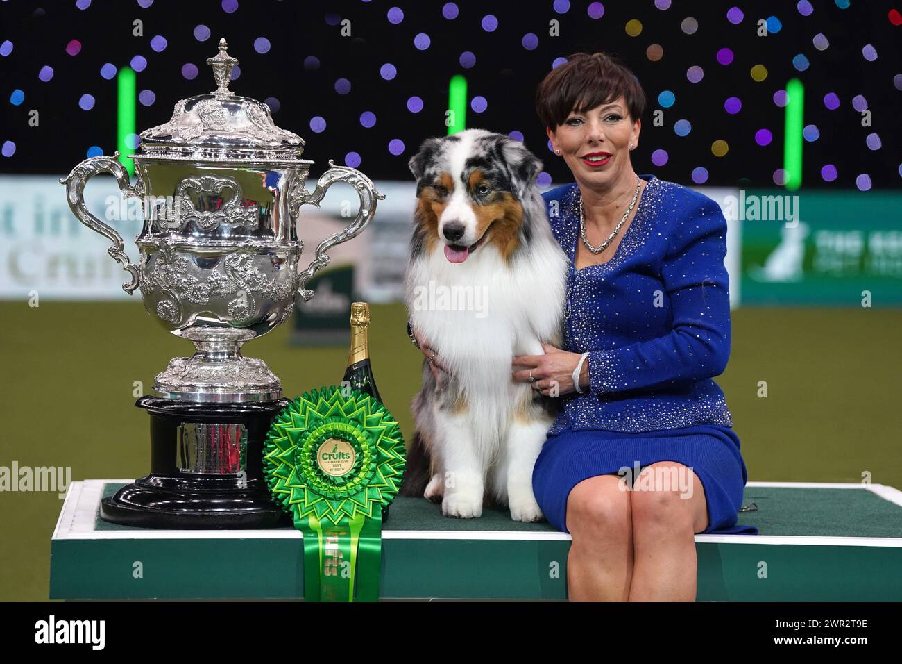 Crufts 2024 best in show hi-res stock photography and images - Alamy