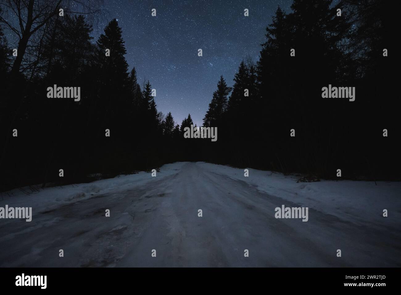 Night scene, road through the forest in winter, starry sky Stock Photo ...