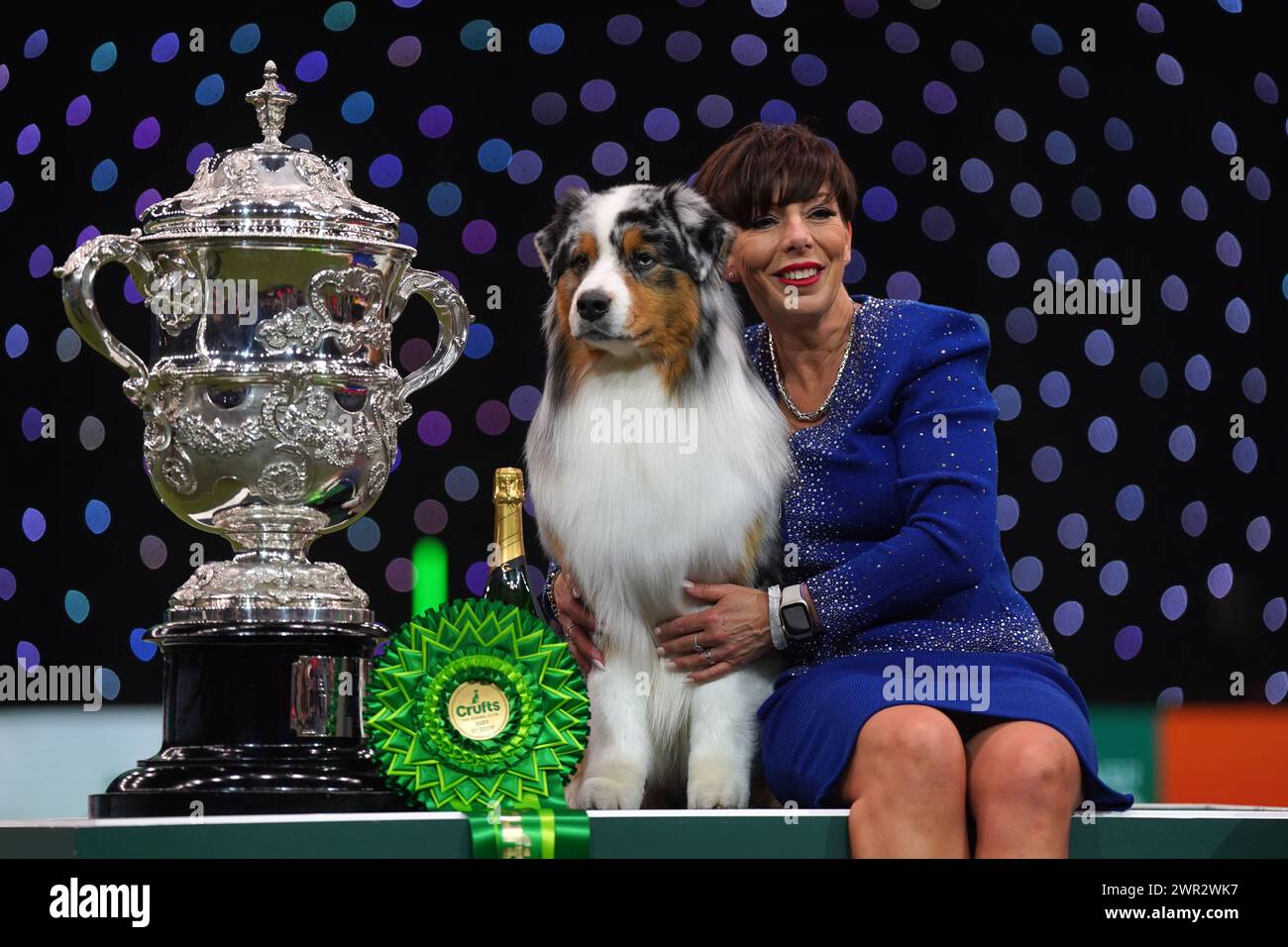 Pastoral Group winner Viking, an Australian Shepherd, co-owned by ...