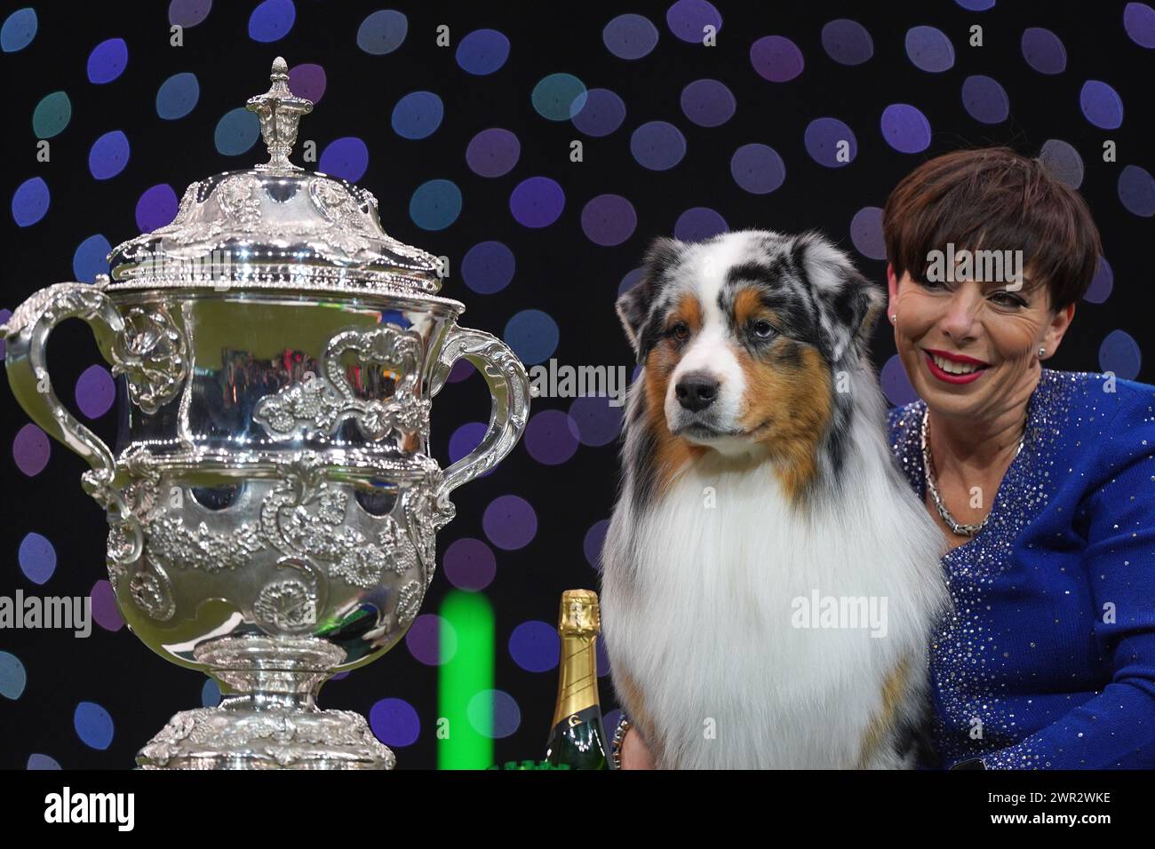 Crufts 2024 viking hi-res stock photography and images - Alamy
