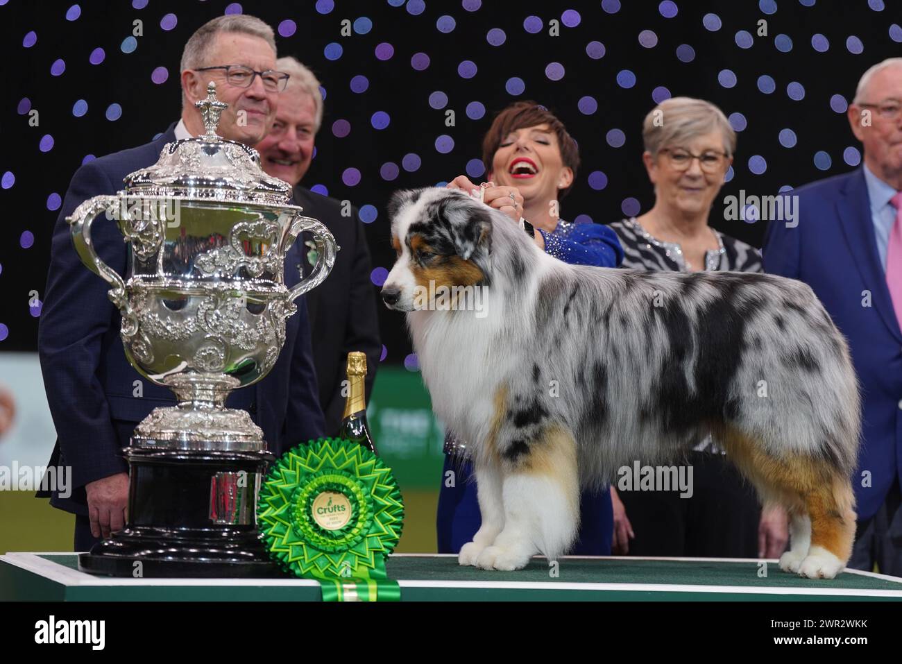 Pastoral Group winner Viking, an Australian Shepherd, co-owned by ...