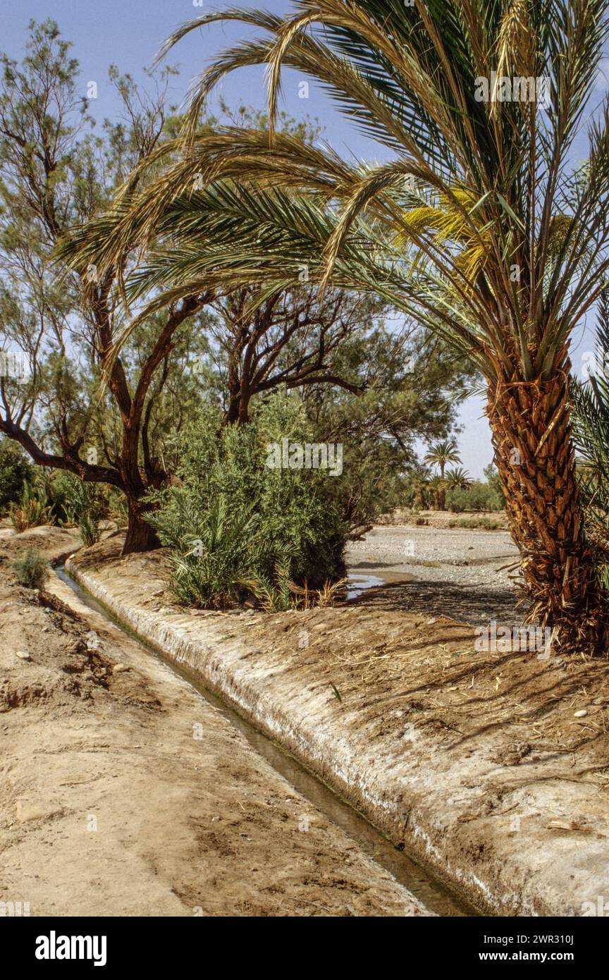 Skoura, Morocco - Irrigation Channel Parallel to Dry River Bed. This ...