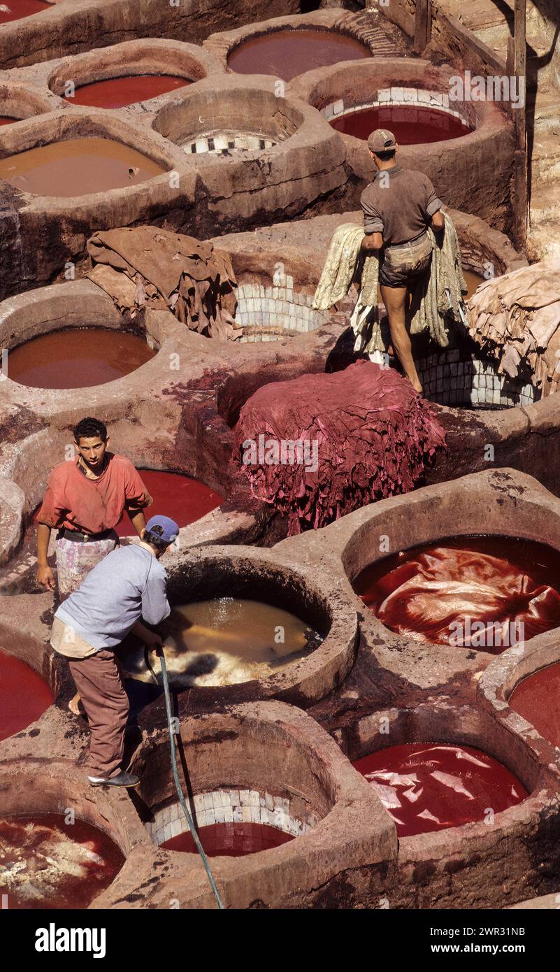 Fez, Morocco. Dying Animal Skins in Preparation for Use in Leather Work ...