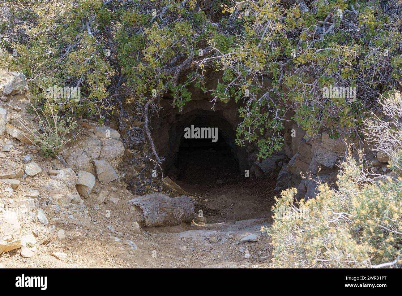 Mine shaft cave entrance at Eagle Cliff Mine cabin in Joshua Tree ...