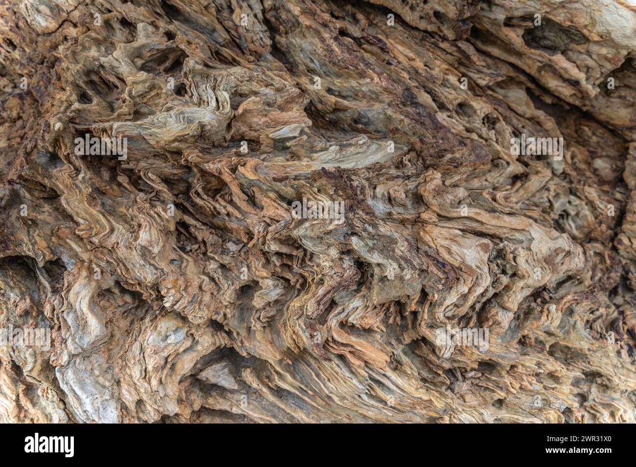 Roches de bord de mer hi-res stock photography and images - Alamy