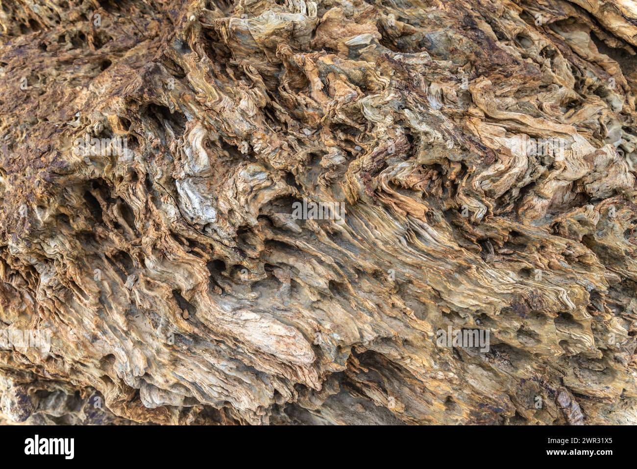 Roches de bord de mer hi-res stock photography and images - Alamy