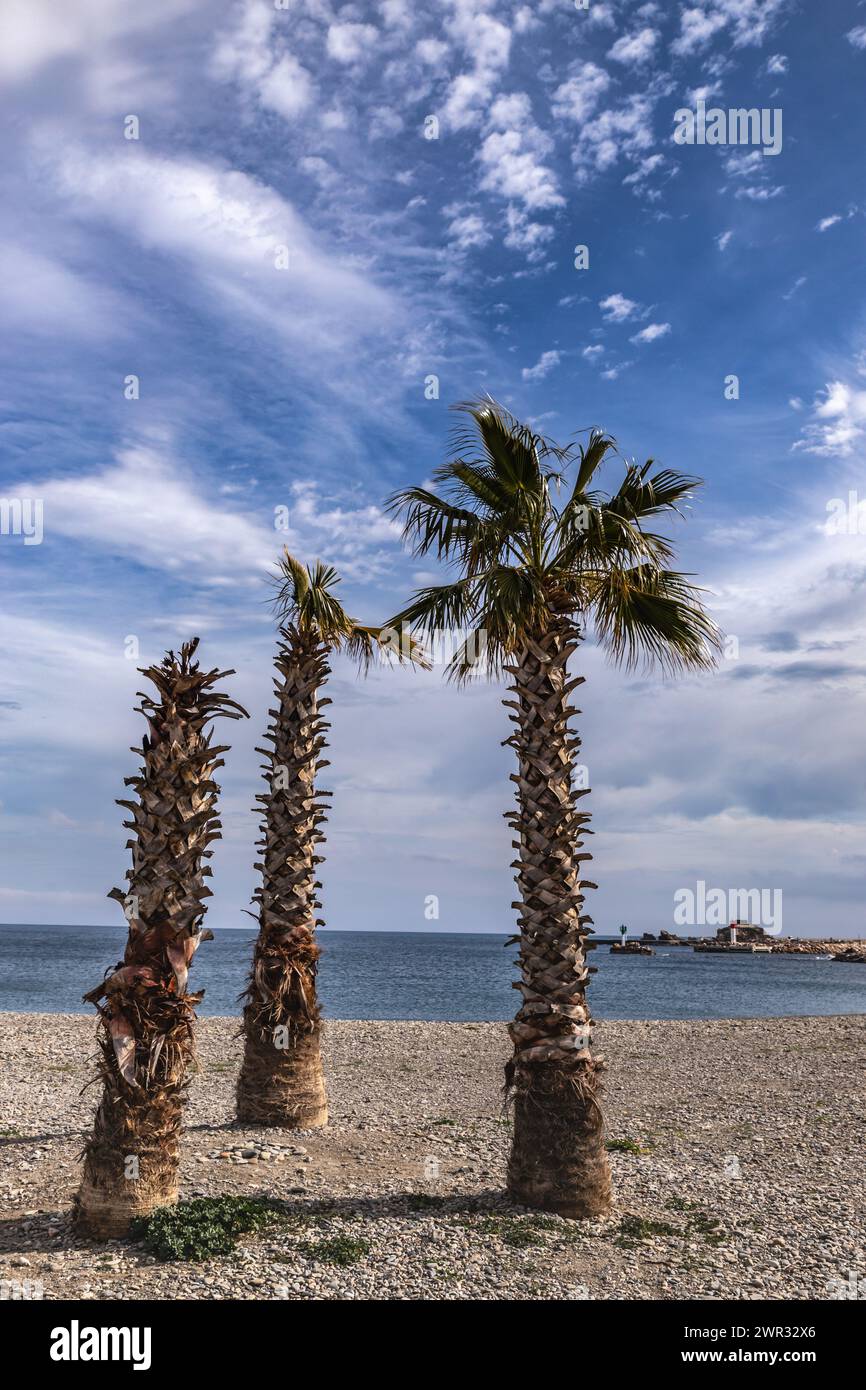 Plage et palmiers hi-res stock photography and images - Alamy