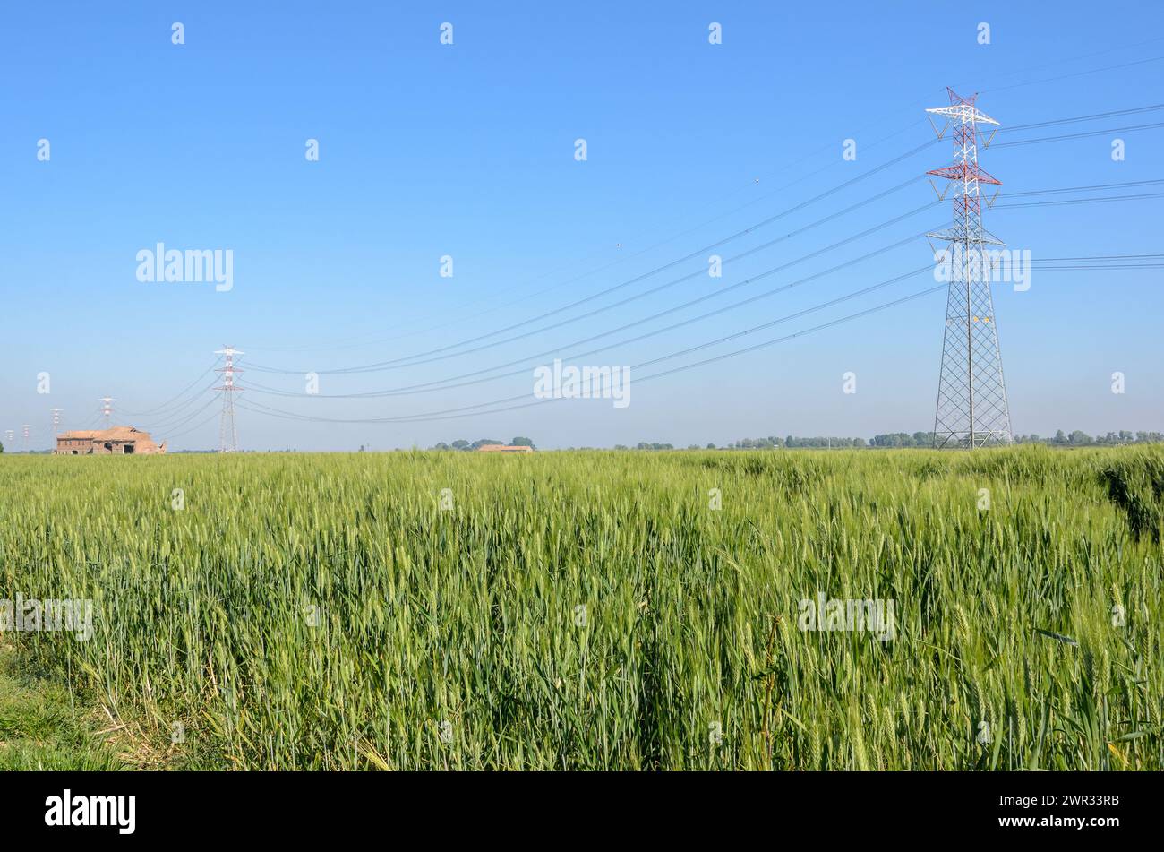 High voltage power line supported by tall pylons over wheat fields on a ...