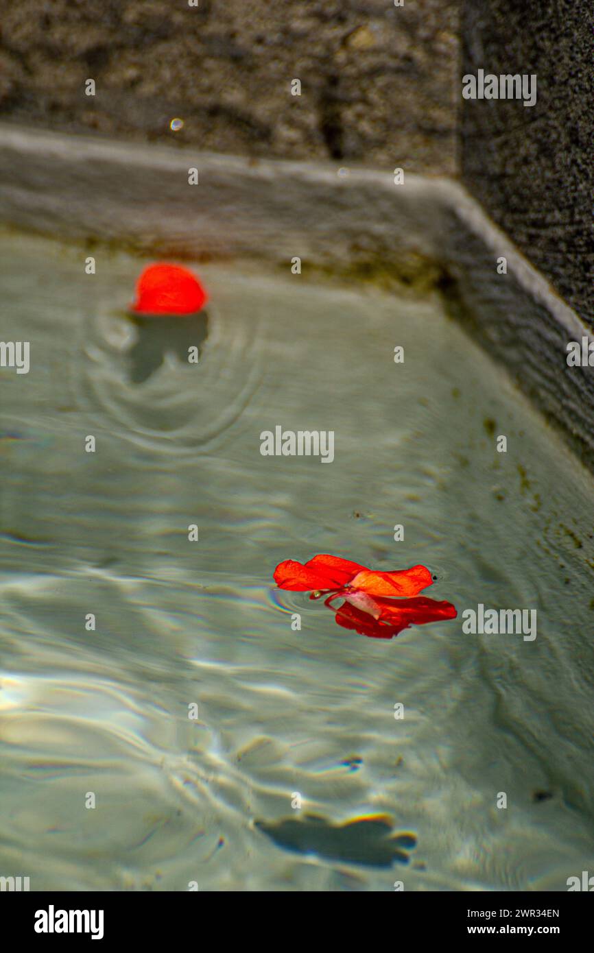 Germignaga fountain hi-res stock photography and images - Alamy