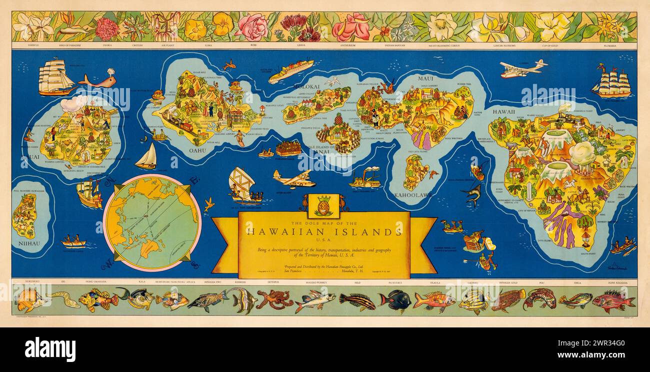 Vintage decorative map of Hawaii "The Dole Map of the Hawaiian Islands ...