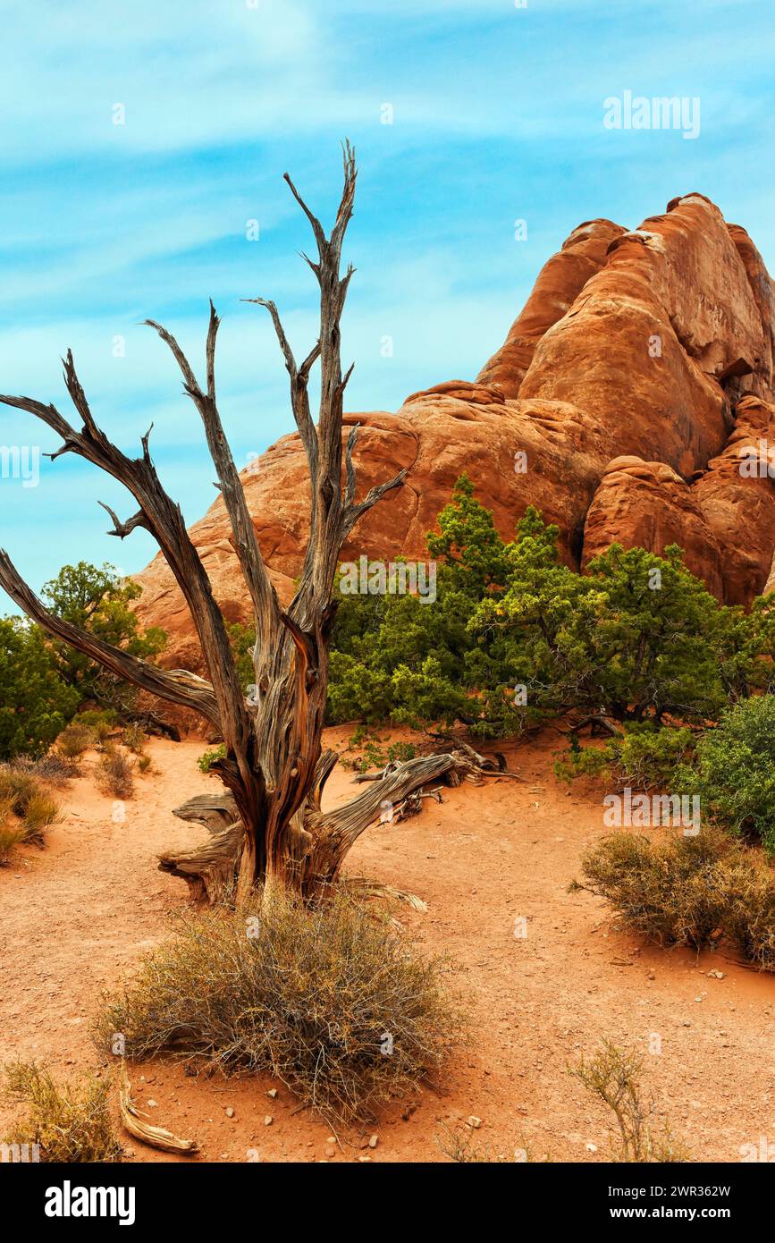 Photos of desert hi-res stock photography and images - Alamy