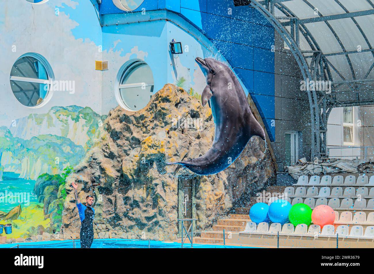 Dolphins in the dolphinarium. Kharkiv Dolphinarium Nemo, a bottlenose ...