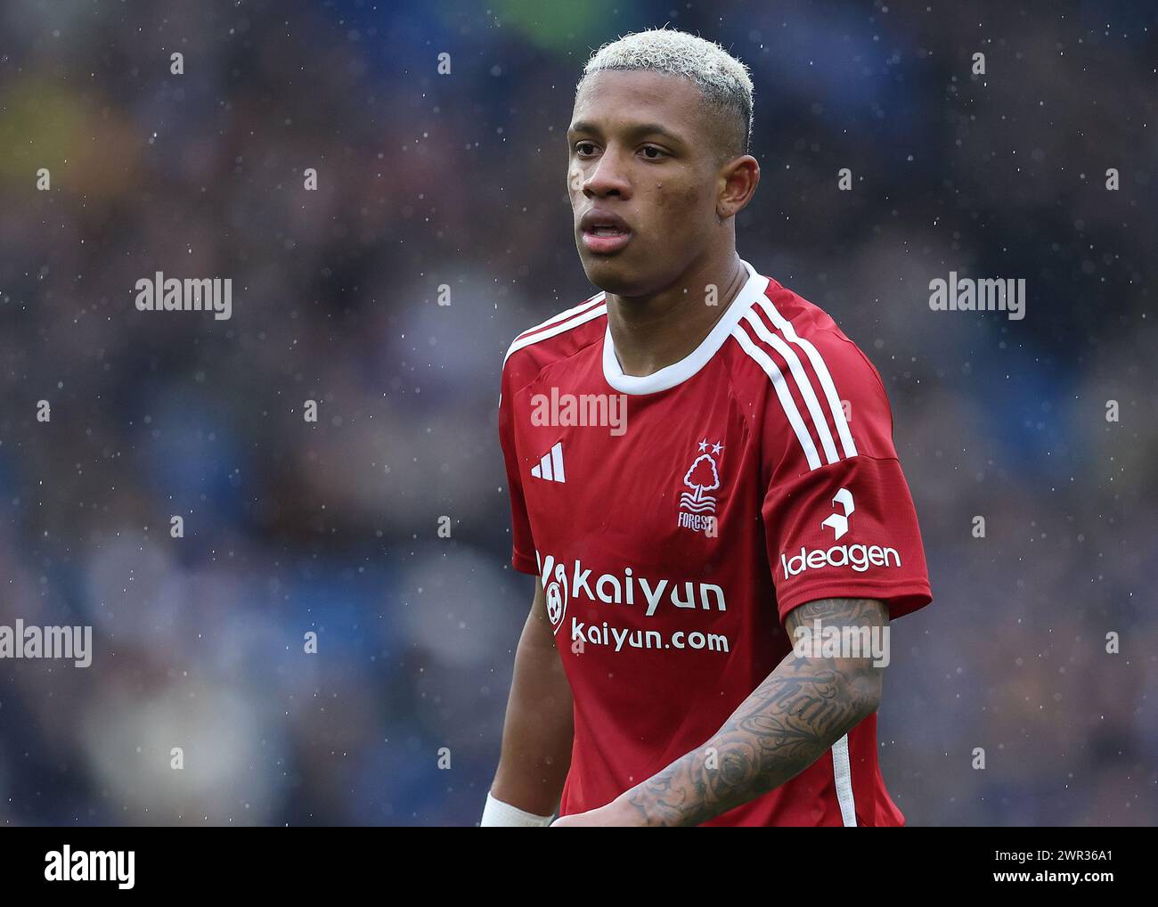 Nottingham forest stadium 2024 hi-res stock photography and images - Alamy