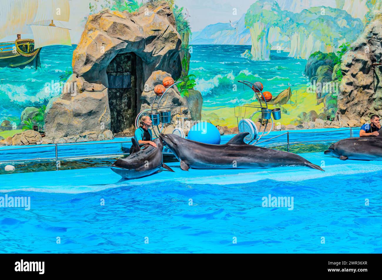 Dolphins in the dolphinarium. Kharkiv Dolphinarium Nemo, a bottlenose ...