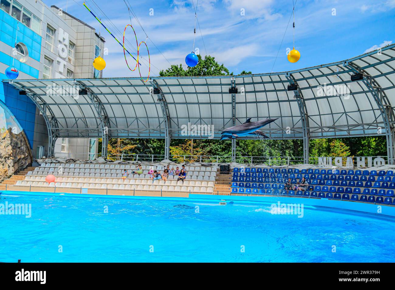 Dolphins in the dolphinarium. Kharkiv Dolphinarium Nemo, a bottlenose ...