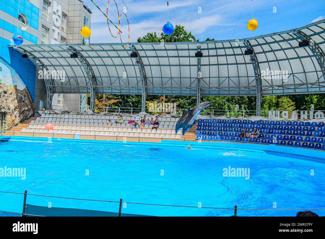 Dolphins in the dolphinarium. Kharkiv Dolphinarium Nemo, a bottlenose ...