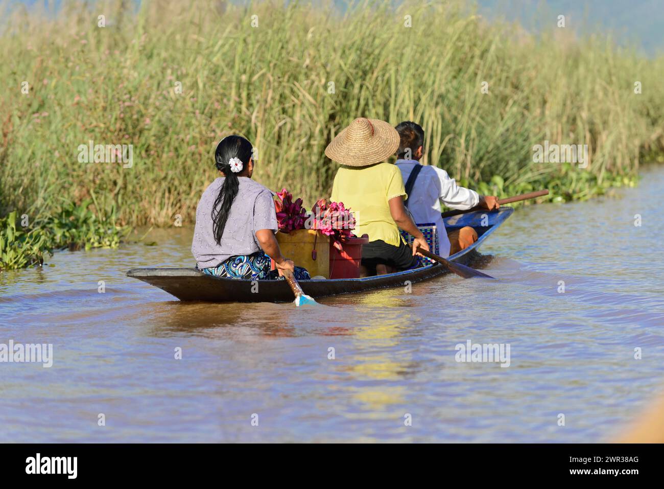 Three people paddling together in a narrow canoe, Inle Lake, Myanmar ...