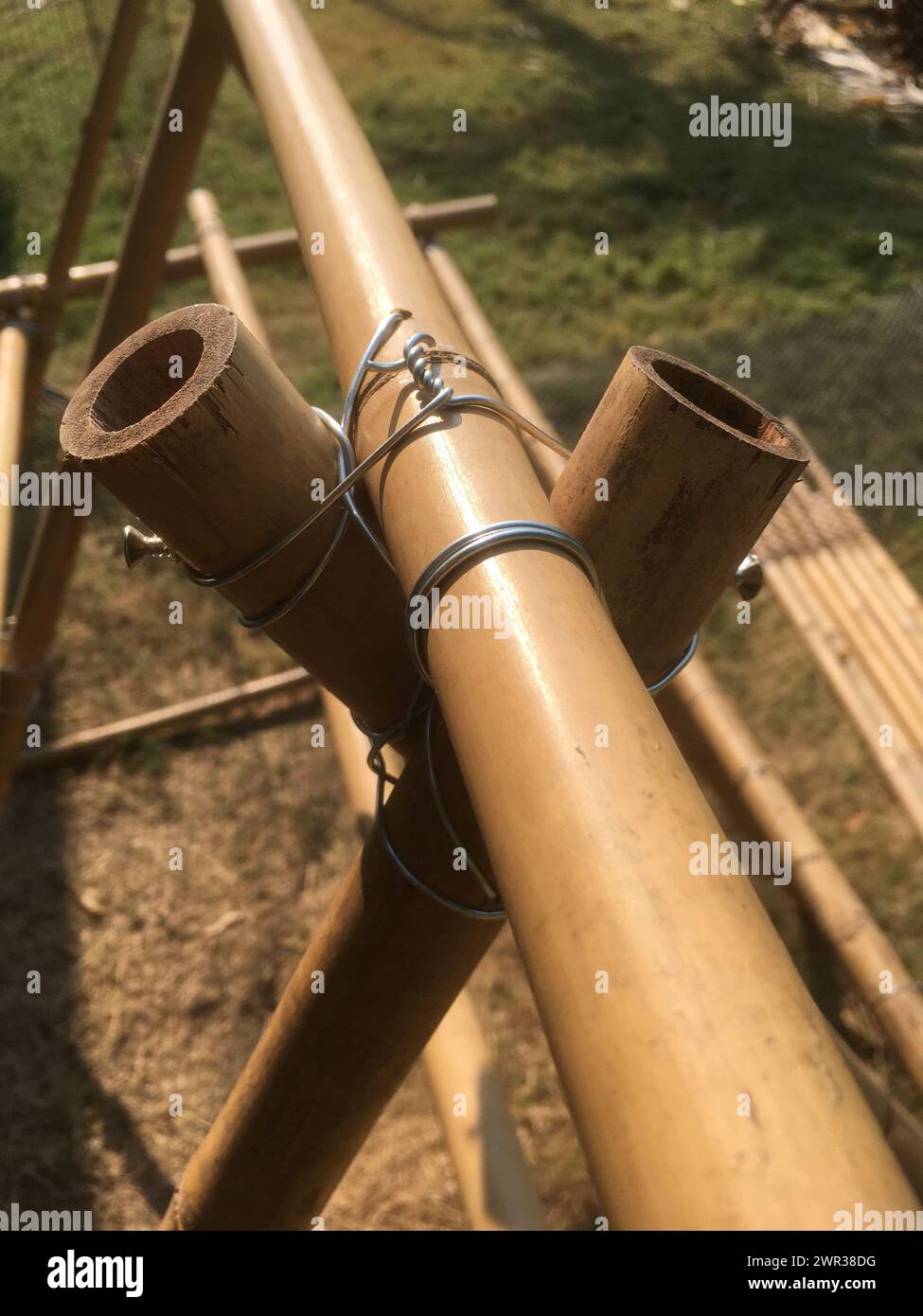 The bamboo is held together by wire Stock Photo - Alamy