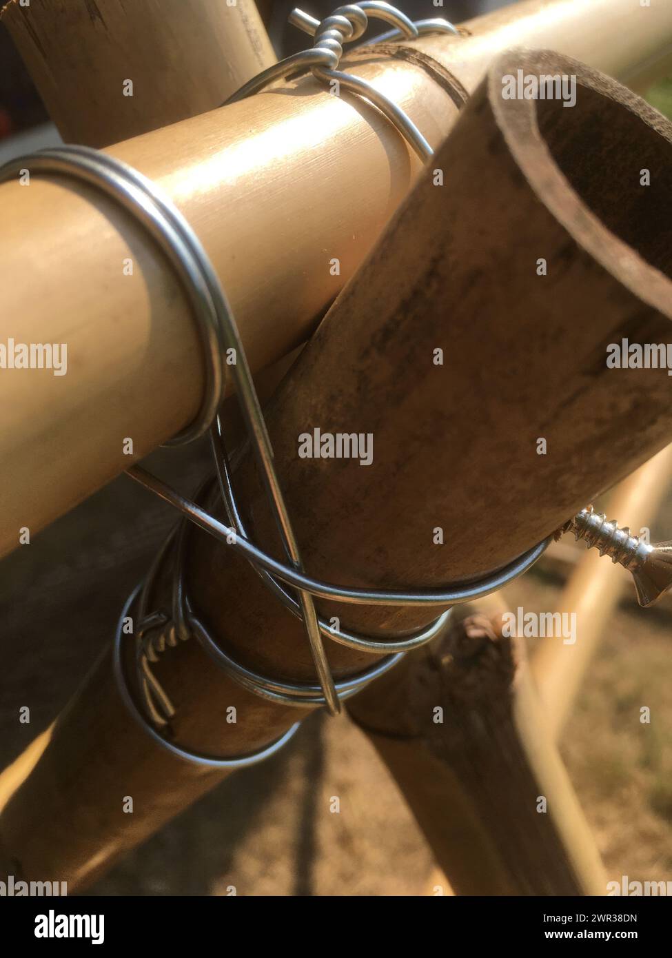 The bamboo is held together by wire Stock Photo - Alamy