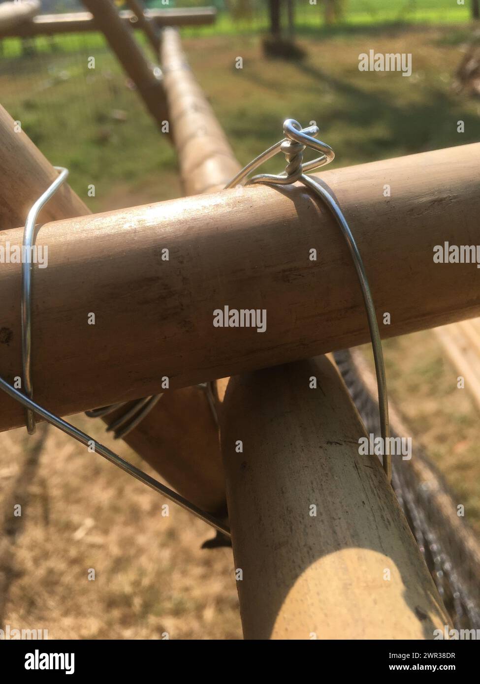 The bamboo is held together by wire Stock Photo - Alamy