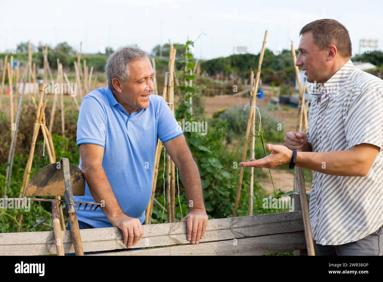 Neighbors talking fence hi-res stock photography and images - Alamy