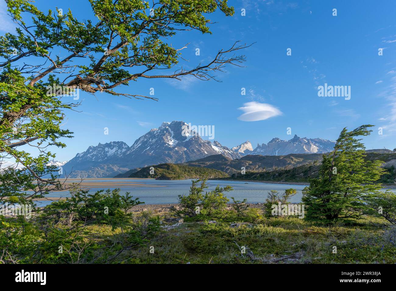 Dreamlike scenery in front of Lago Grey, Torres del Paine National Park ...